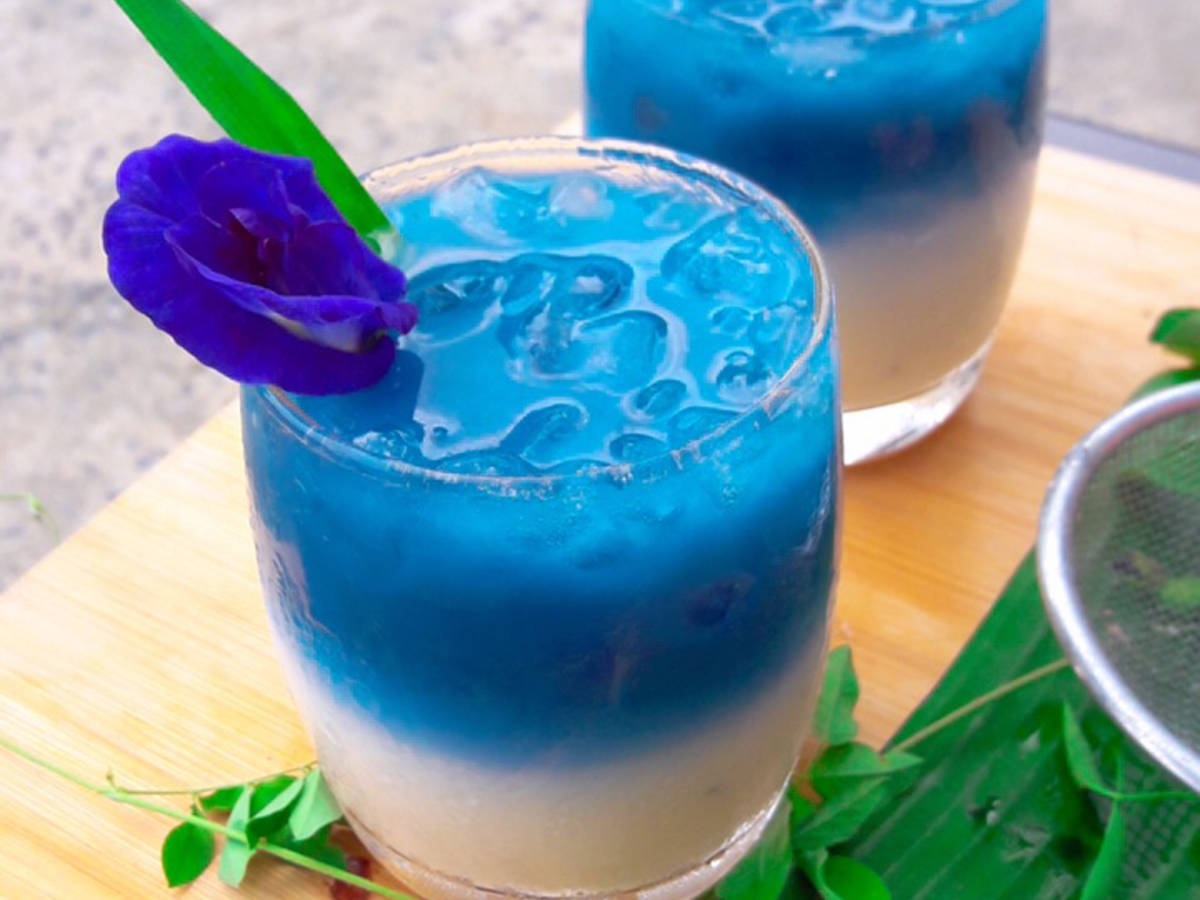 Ice milk Butterfly pea | Recipe | Kitchen Stories