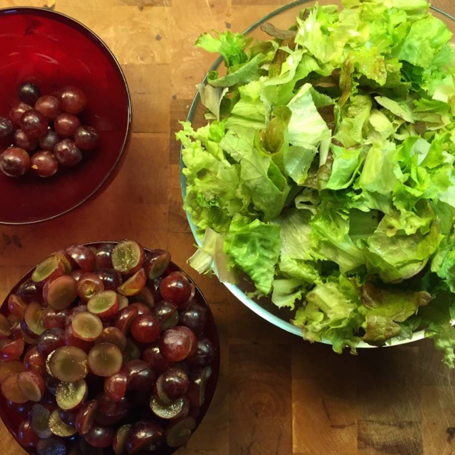 Lollo Rosso salad with grilled Camembert | Recipe | Kitchen Stories