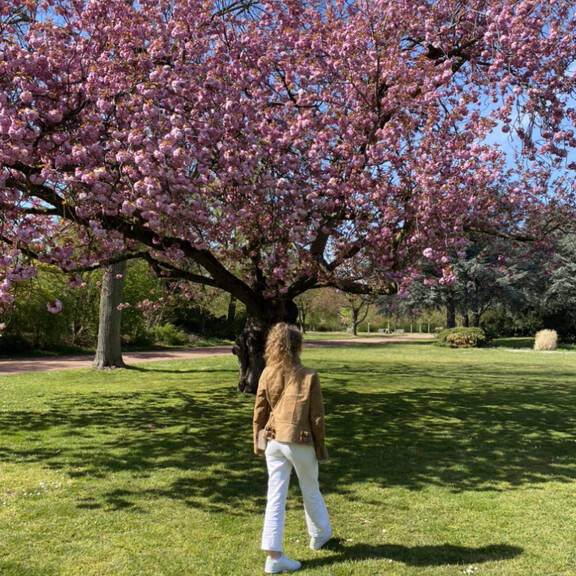 Danske Boller (dänische Brötchen) | Rezept | Kitchen Stories