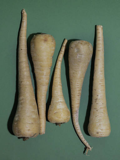How to Buy, Store, and Prepare In Season Parsnip