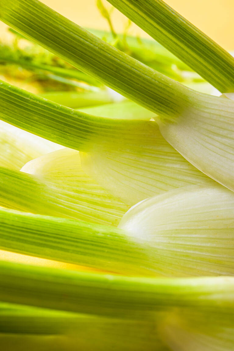 Everything to Know About In Season Fennel