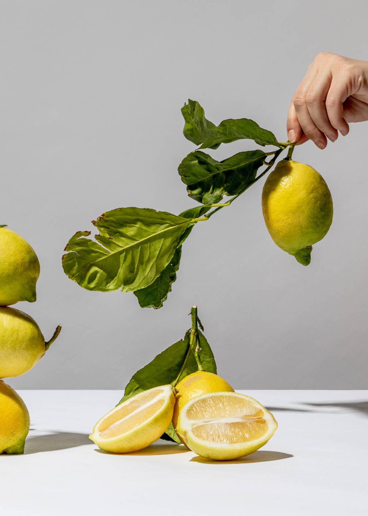 Jetzt in Saison: Zitronen richtig kaufen, lagern und zubereiten ...