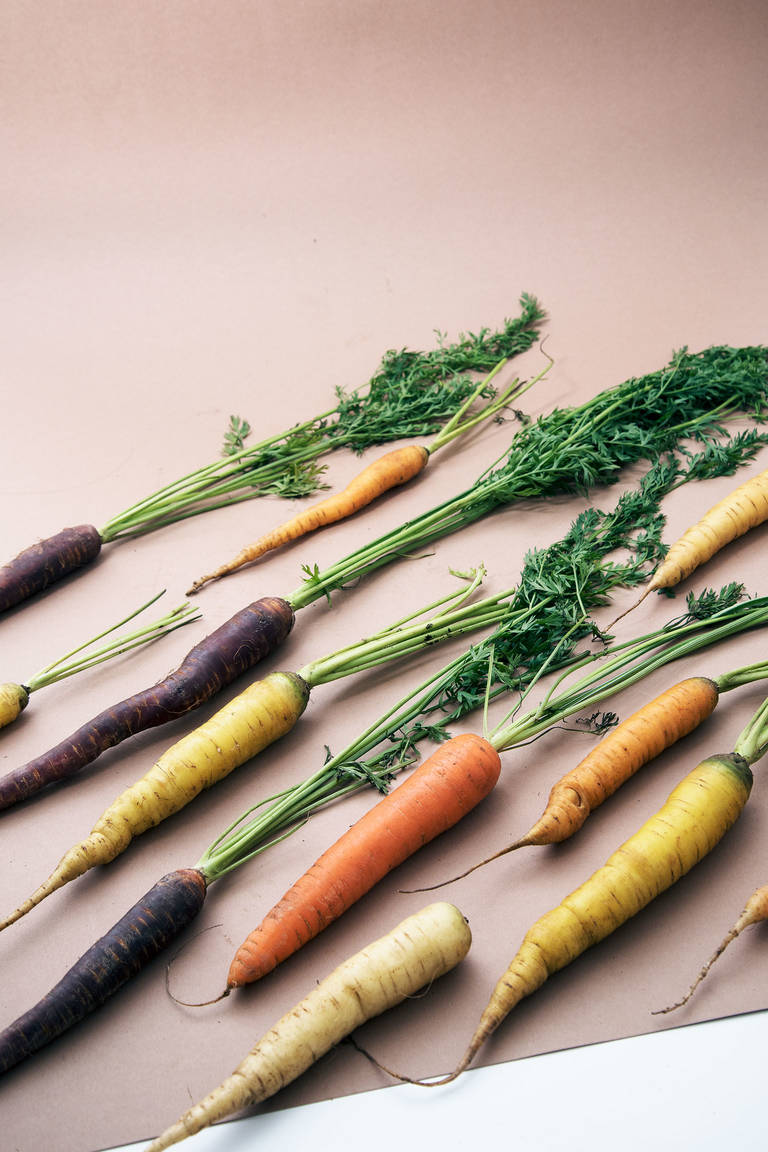 Jetzt in Saison: Karotten richtig kaufen, lagern und zubereiten ...