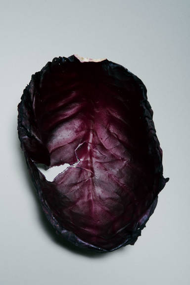 Everything to Know About Cooking and Shopping for In Season Red Cabbage ...