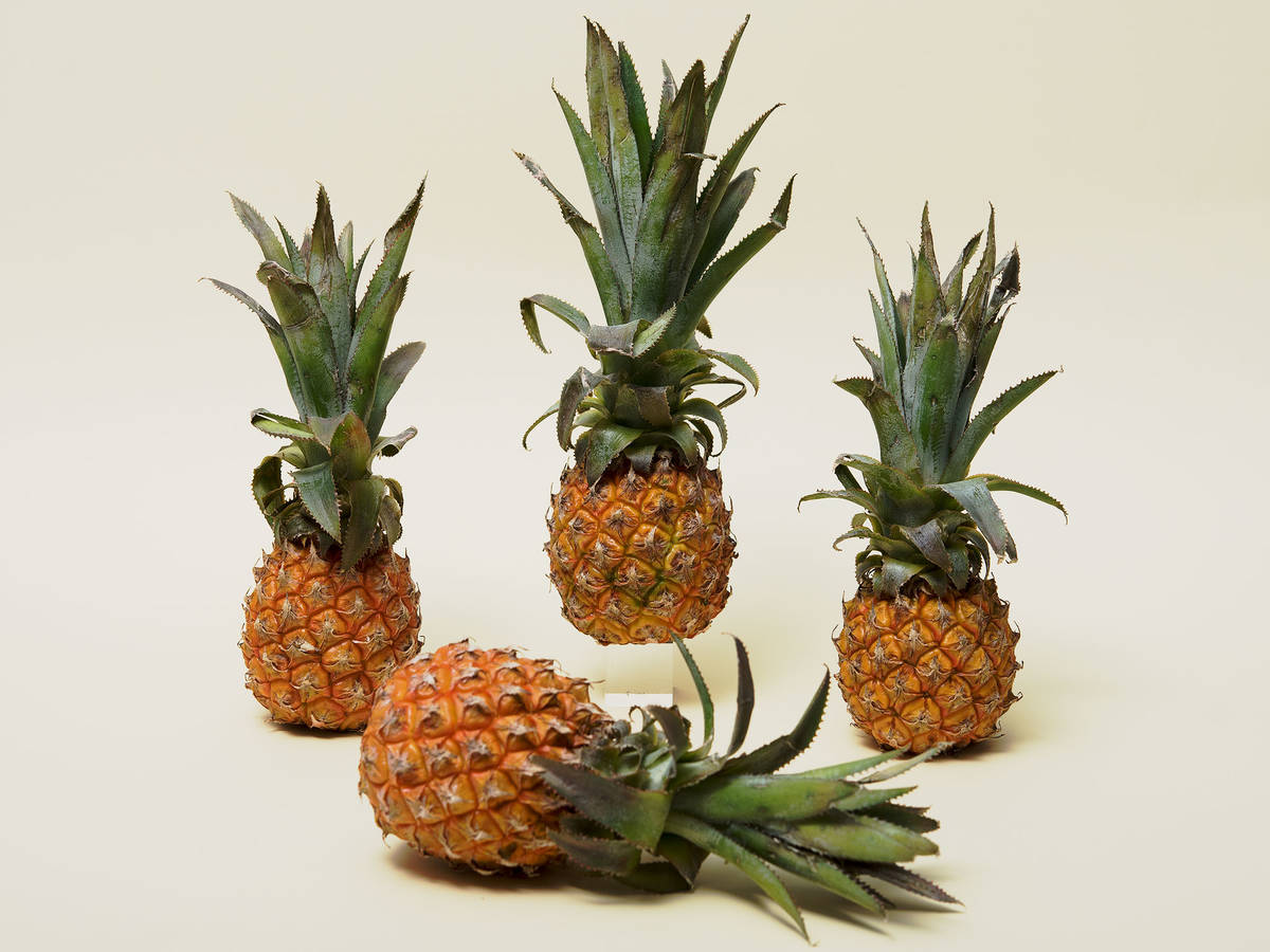 Jetzt in Saison: Ananas richtig kaufen, lagern und zubereiten | Stories ...