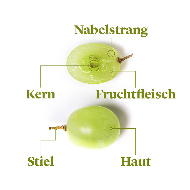 Jetzt in Saison: Weintrauben richtig kaufen, lagern und zubereiten ...