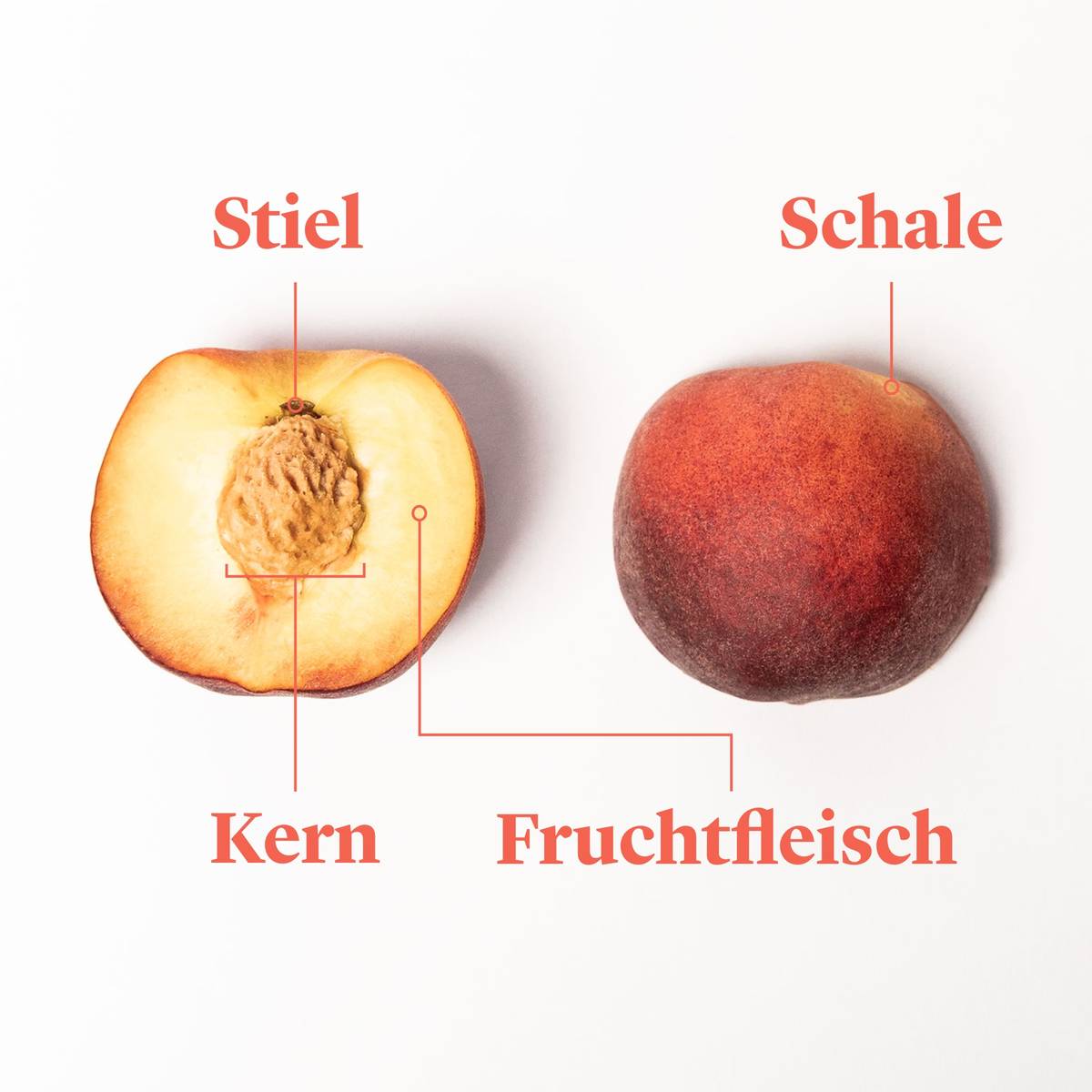 Jetzt in Saison: Pfirsiche richtig kaufen, lagern und zubereiten ...