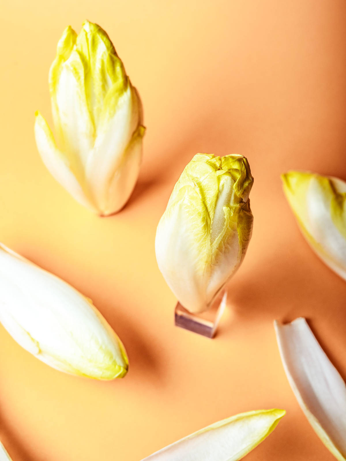 What is Endive? How to Buy, Store, and Prepare Belgian Endive