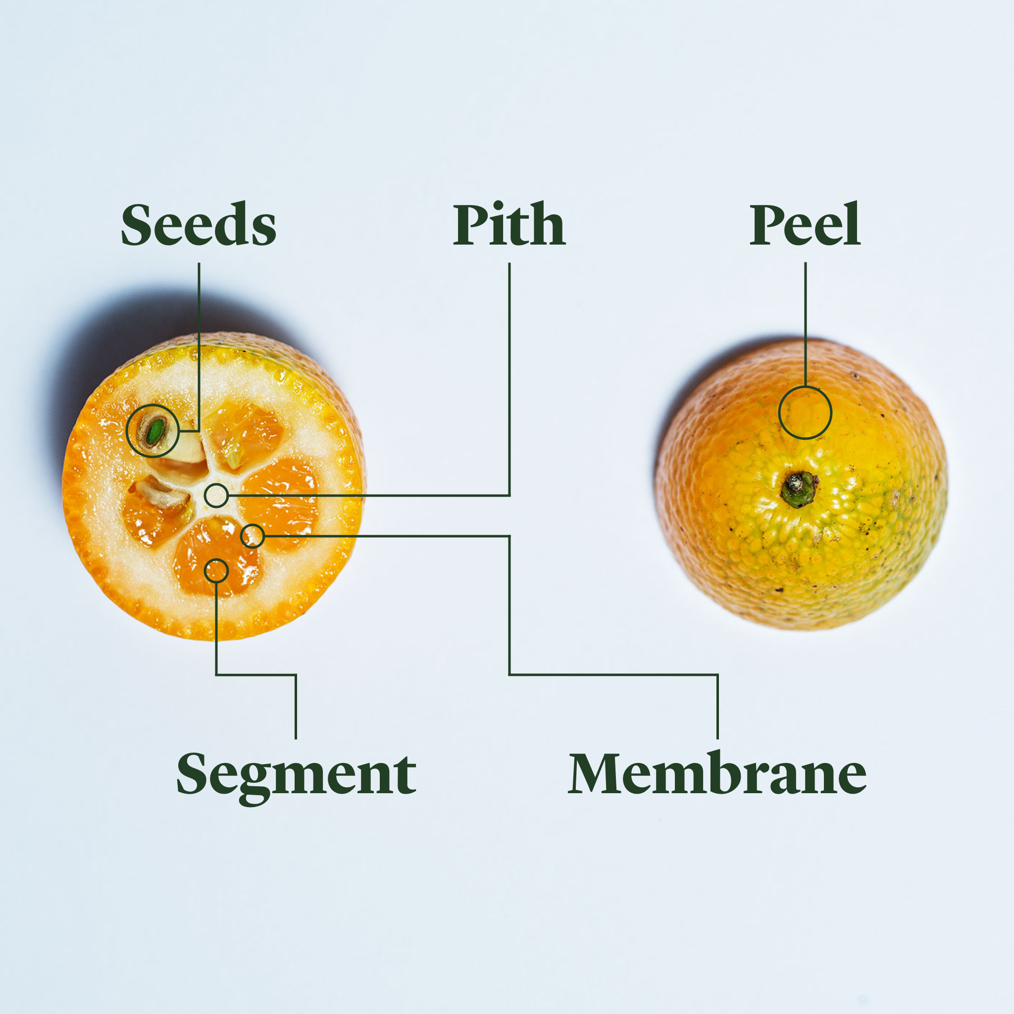 In Season Now: Buying, Storing, and Preparing Kumquats