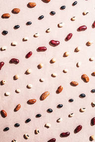 Spilling the Beans: A Guide to Our Favorite Legume | Stories | Kitchen ...