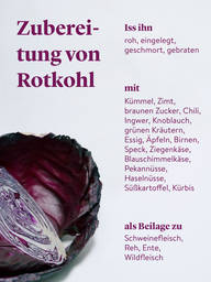 Jetzt in Saison: Rotkohl richtig kaufen, lagern und zubereiten ...