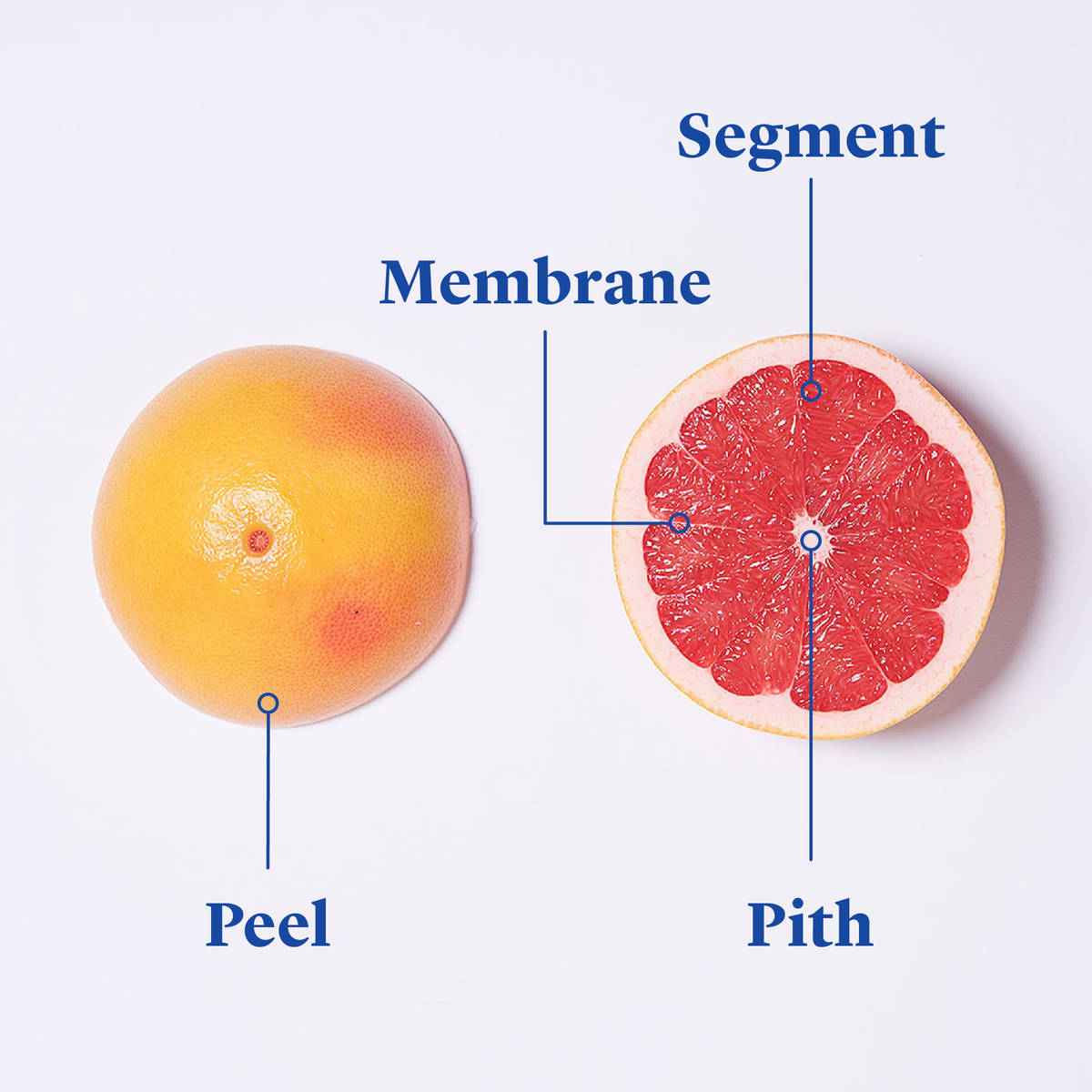 Everything to Know About Cooking and Shopping for In Season Grapefruit ...
