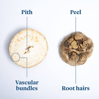 Everything to Know About Cooking and Shopping for In Season Celery Root ...