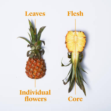 Everything to Know About Cooking and Shopping for In Season Pineapples ...