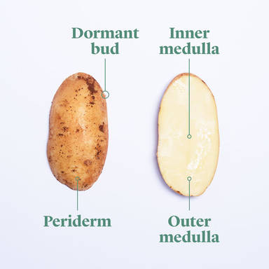 Everything to Know About Cooking and Shopping for In Season New ...